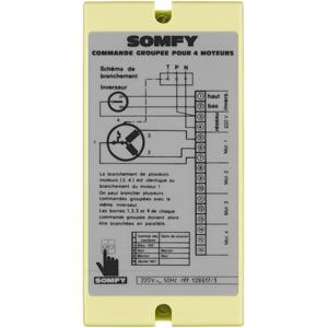 4 MOTORS GROUP CONTROL 220V | Somfy